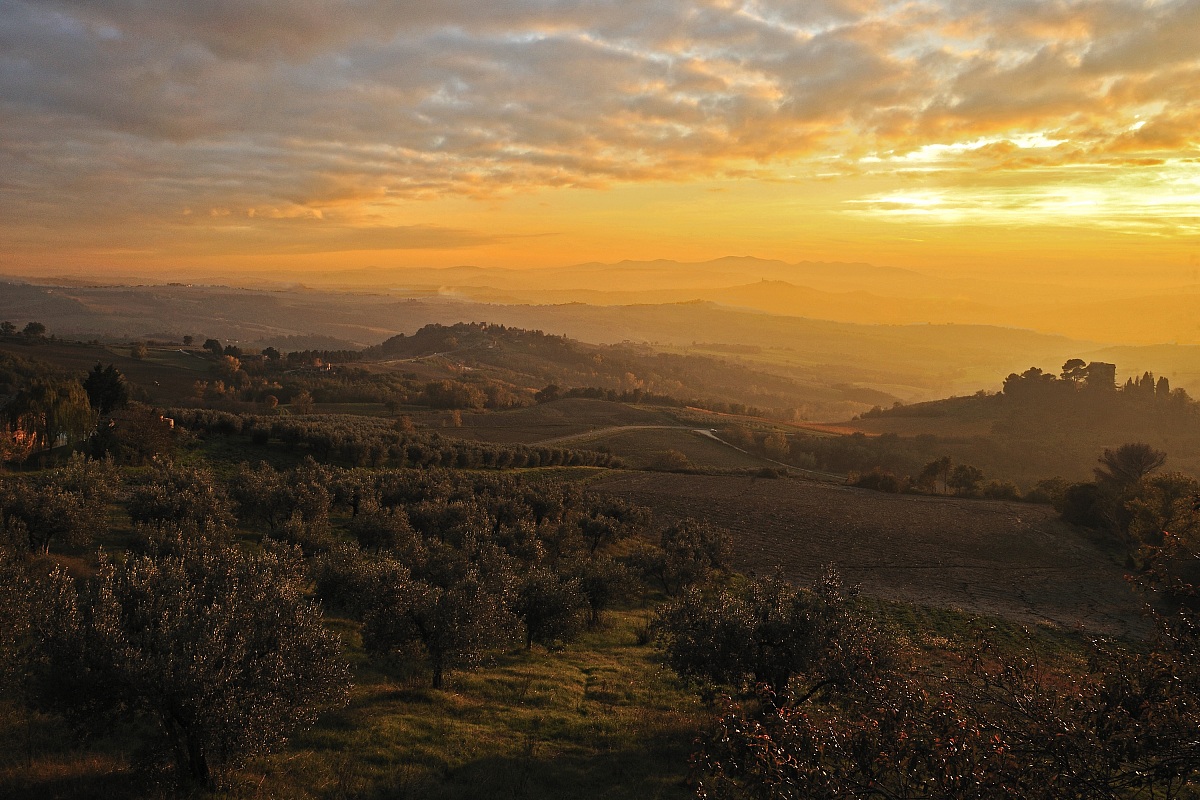 Tour enogastronomico in Umbria e Provincia