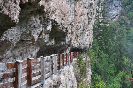 Alla scoperta delle meraviglie d'Italia: San Romedio, l'orso e il ...